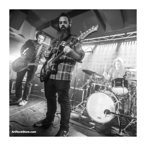 Duster | Artist – Artrockstore