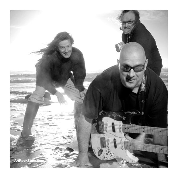 The Mermen | Artist – Artrockstore